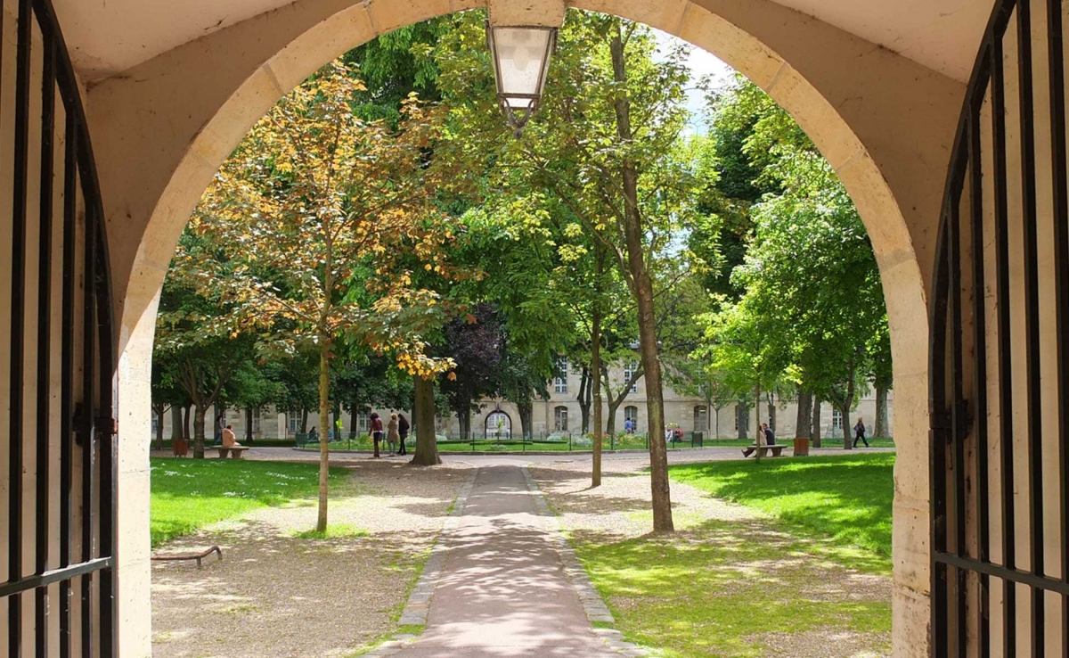 Centre d'Investigations Cliniques - Centre d'Investigations Cliniques